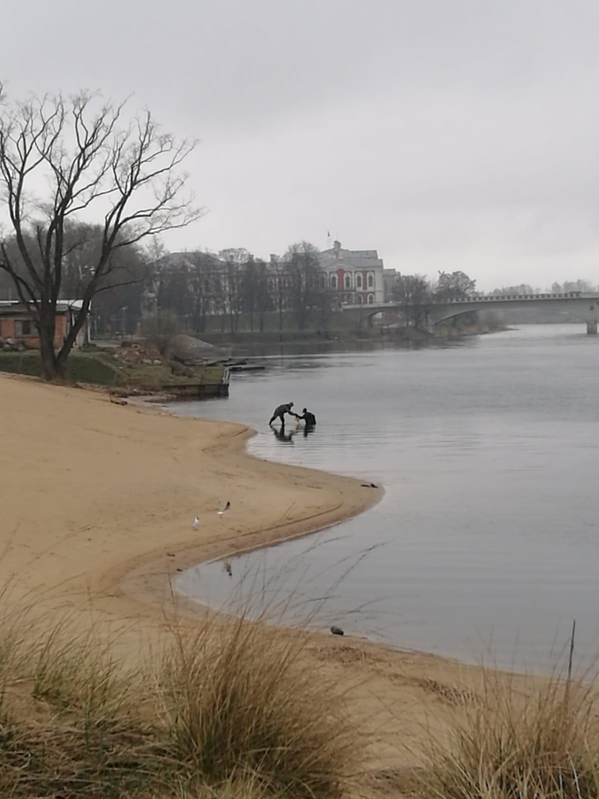 Pilsētā turpinās pavasara uzkopšanas darbi - Jelgava